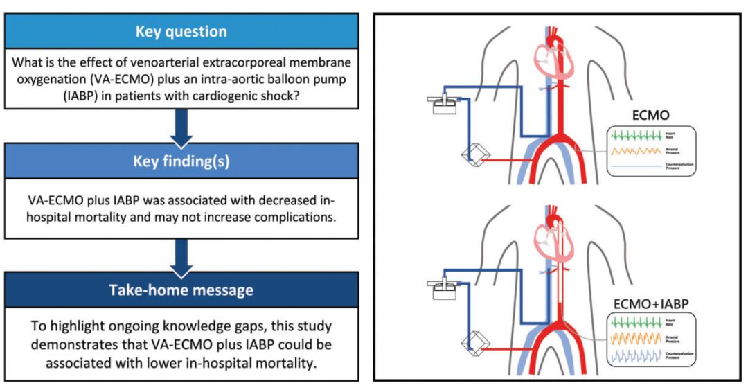 心源性休克患者中VA-ECMO联合应用IABP的荟萃分析-企业官网