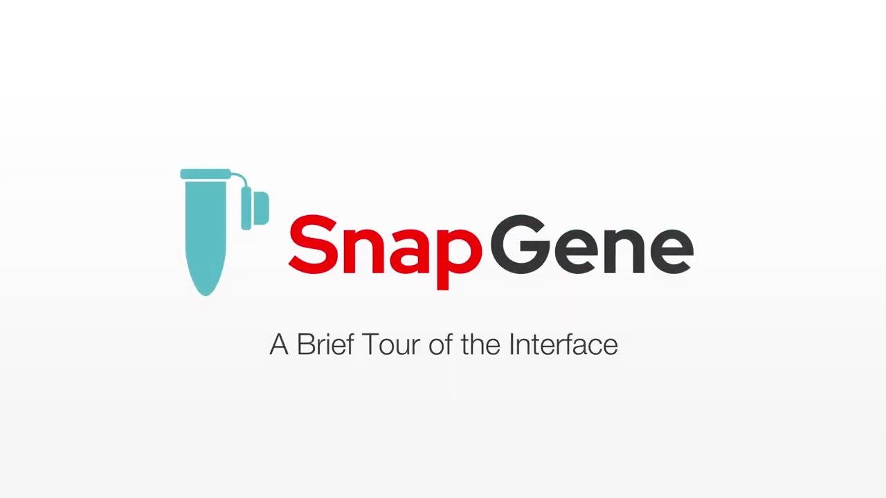 SnapGene 初学者使用向导-北京睿驰科技