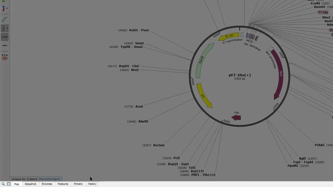 SnapGene 初学者使用向导-北京睿驰科技