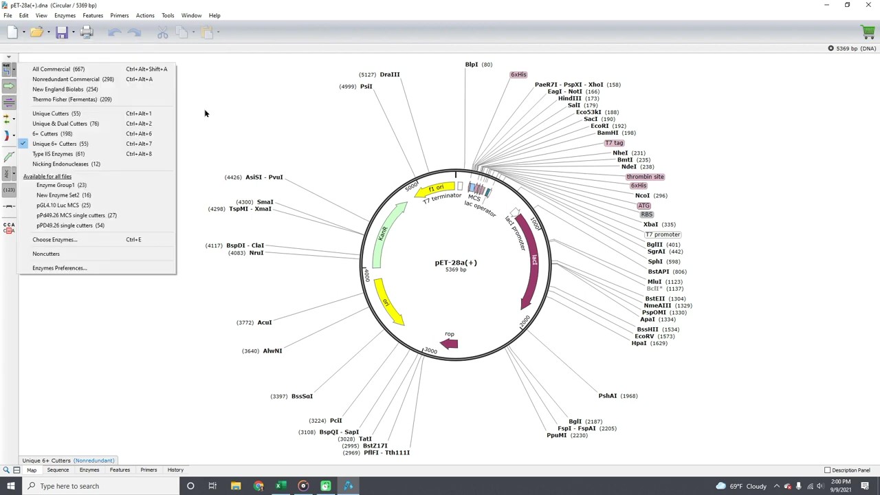 SnapGene 初学者使用向导-北京睿驰科技