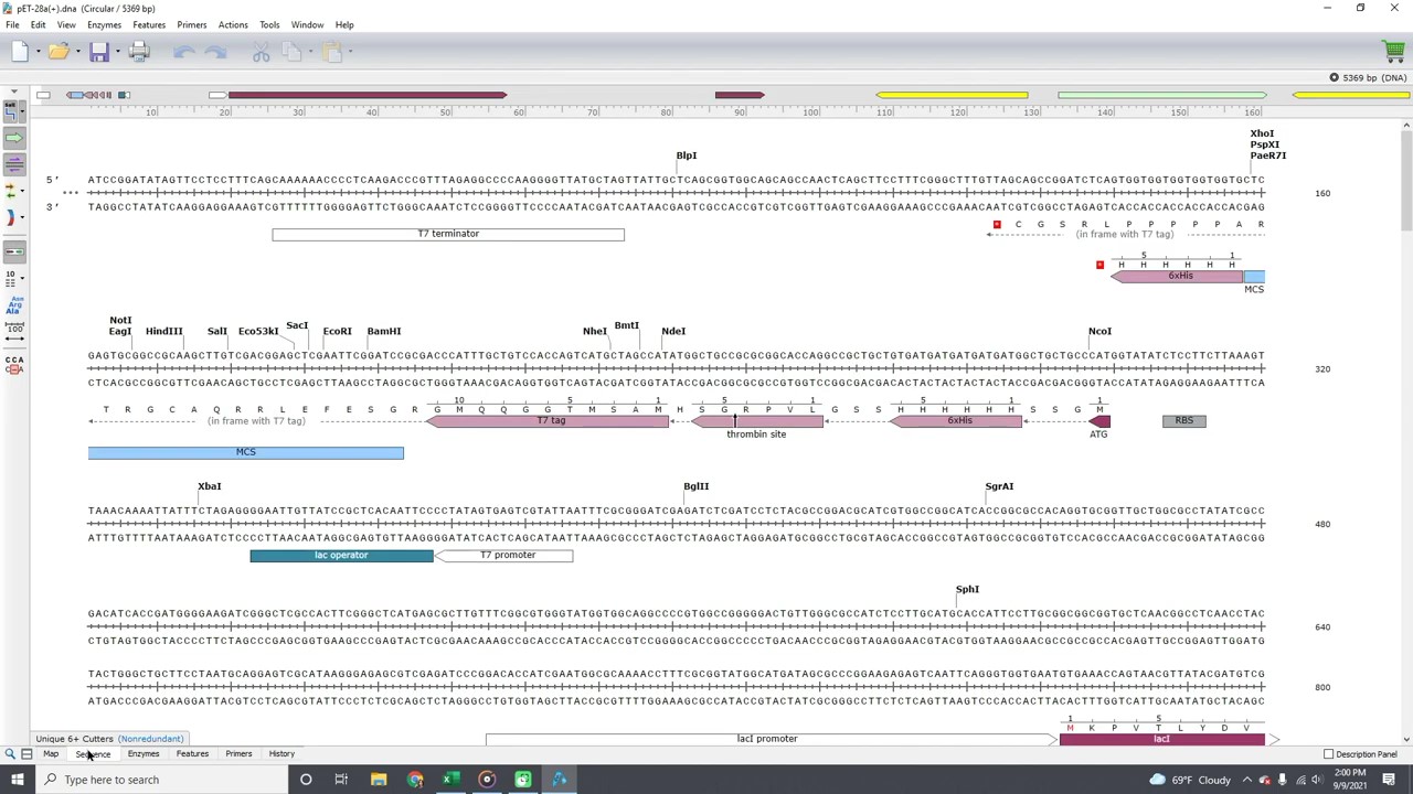 SnapGene 初学者使用向导-北京环中睿驰科技有限公司