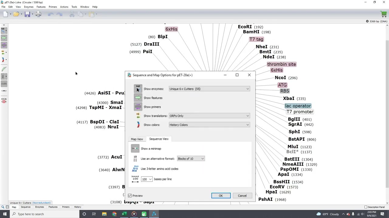 SnapGene 初学者使用向导-北京睿驰科技