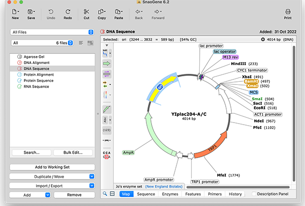 SnapGene - 分子生物学软件-北京环中睿驰科技有限公司