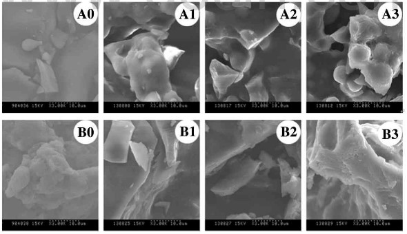 Effects of transglutaminase catalyzed crosslinking on physicochemical ...