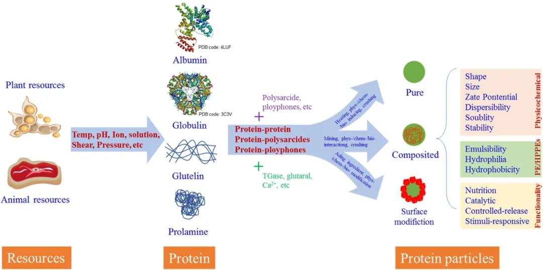 2020-Pickering and high internal phase Pickering emulsions stabilized ...