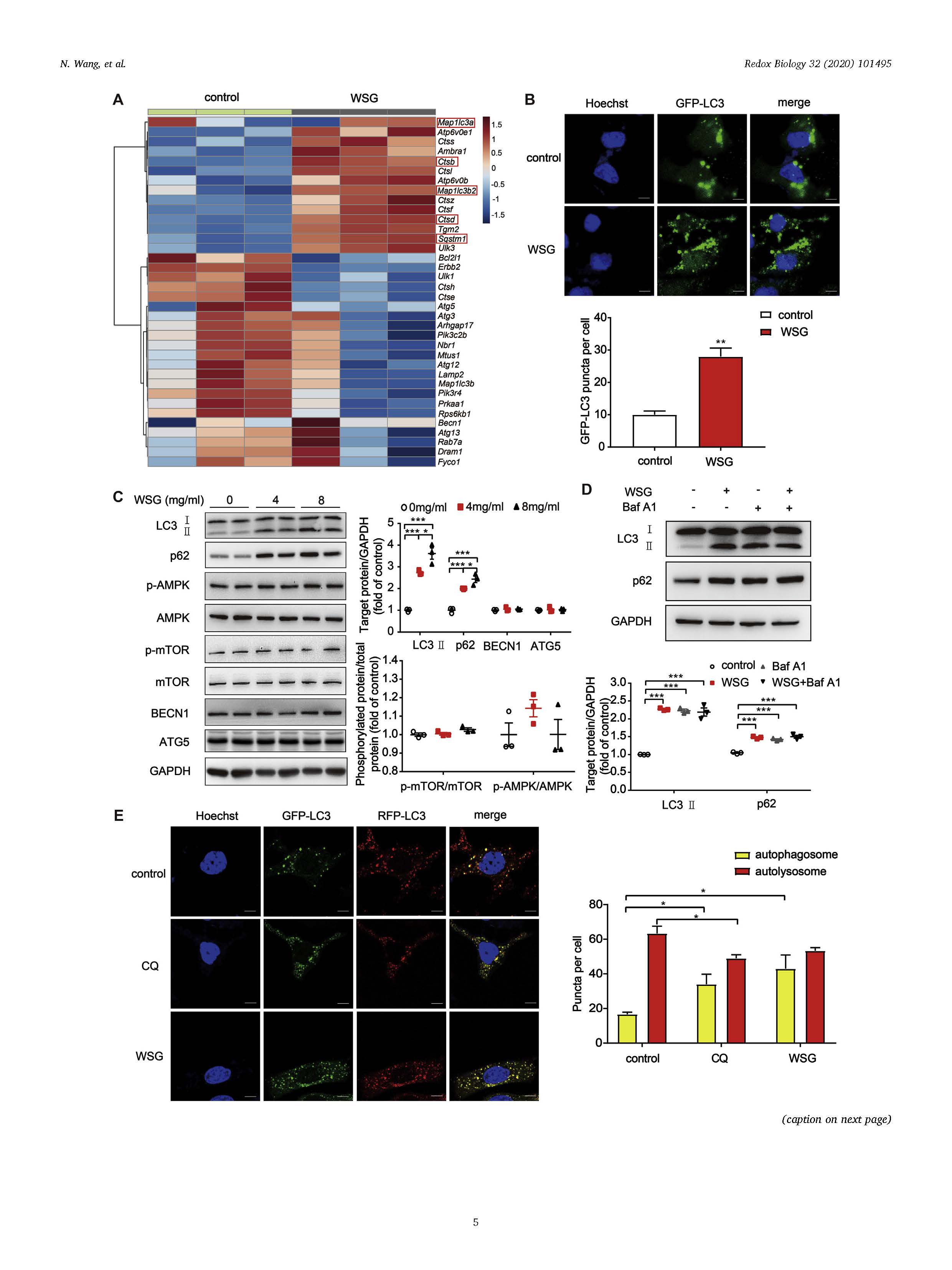 2020-Yeast β-D-glucan exerts antitumour activity in liver cancer ...
