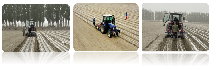 植物蛋白结构与功能调控创新团队2022年大事记-2016 中国粮油学会花生食品分会