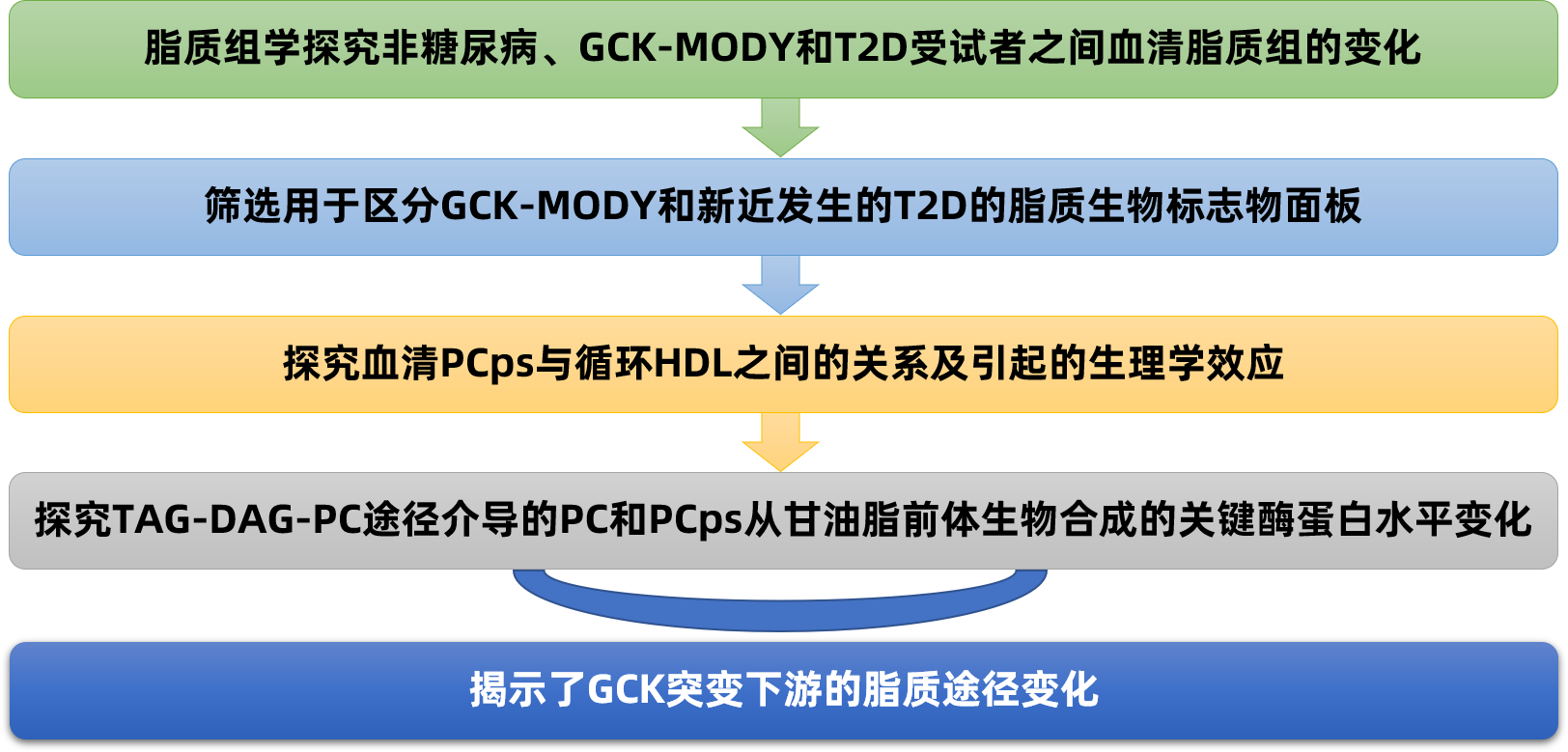 Redox Biology：税光厚团队和肖新华团队合作揭示高血糖GCK-MODY中的抗动脉粥样硬化脂质特征-中科脂典