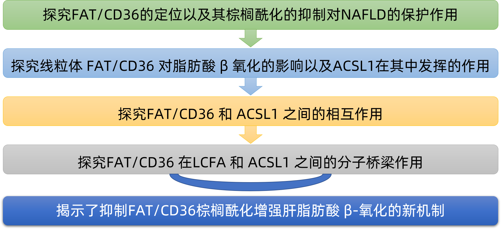 ARS：陈压西/赵蕾团队揭示抑制脂肪酸转位酶 (FAT/CD36)棕榈酰化增强肝脂肪酸 β-氧化的新机制-中科脂典