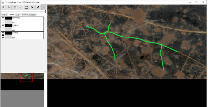 LK-1250植物rhizo-box成像系统-北京力科惠泽科技有限公司