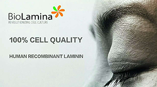 上海逍鹏生物科技有限公司