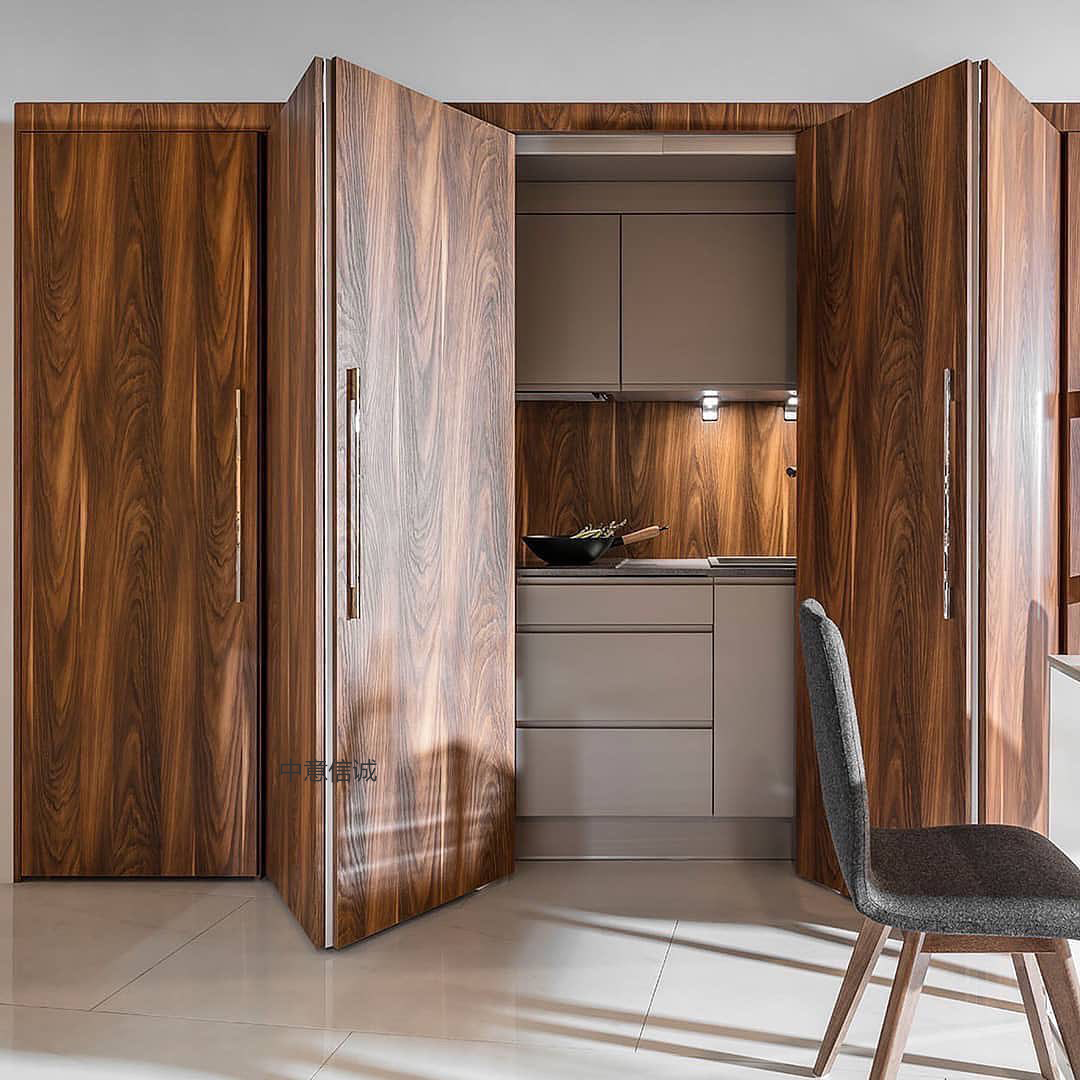 颠覆传统全新的开门方式：瑞士Hawa Concepta插入回旋门-企业官网