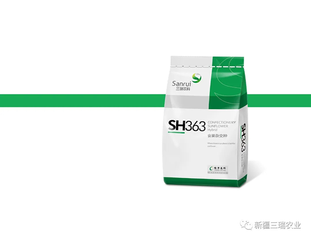 优质品种篇——高端炒货必选原料SH363-三瑞农科